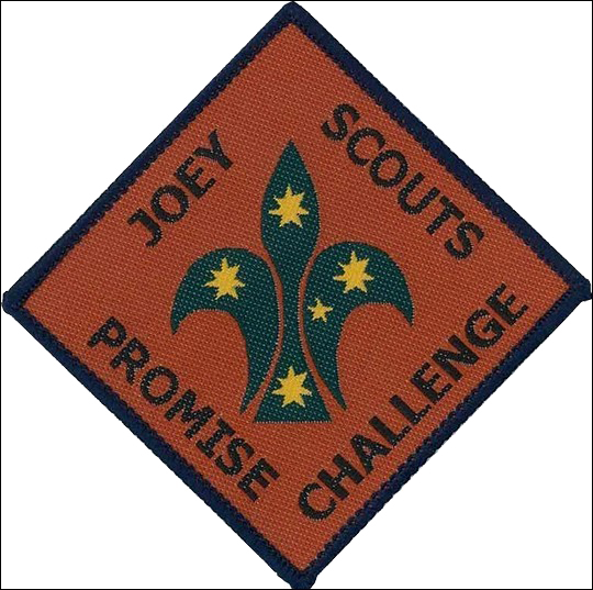 Joey Promise Challenge Award - Paradise Point Scouts - Gold Coast